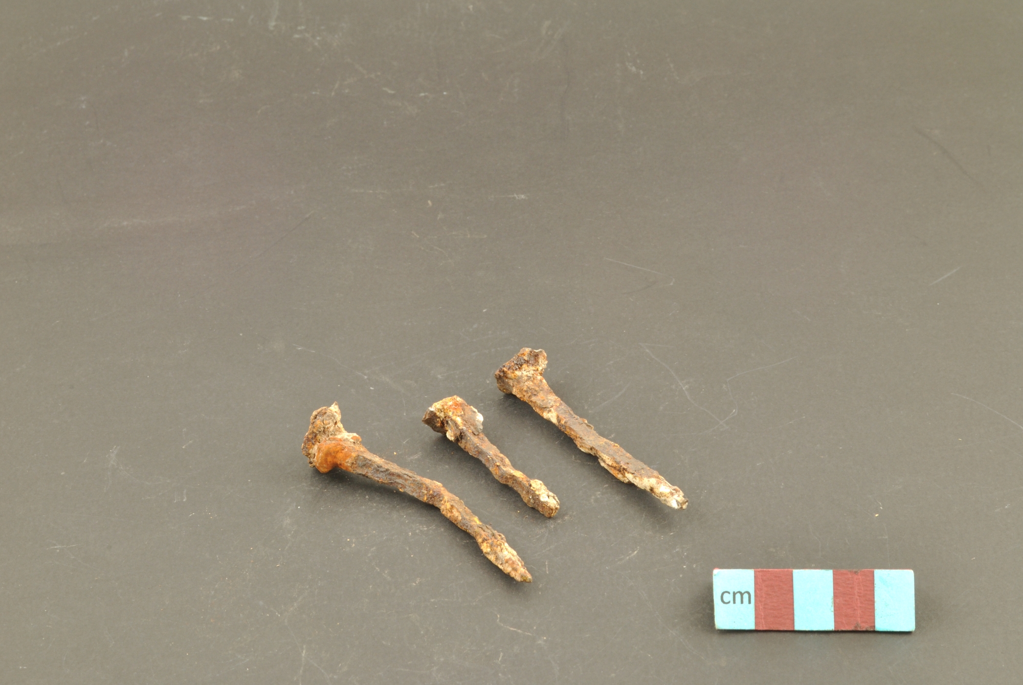 Catalogue record: Nails from Roman Cemetery | Ashwell Museum
