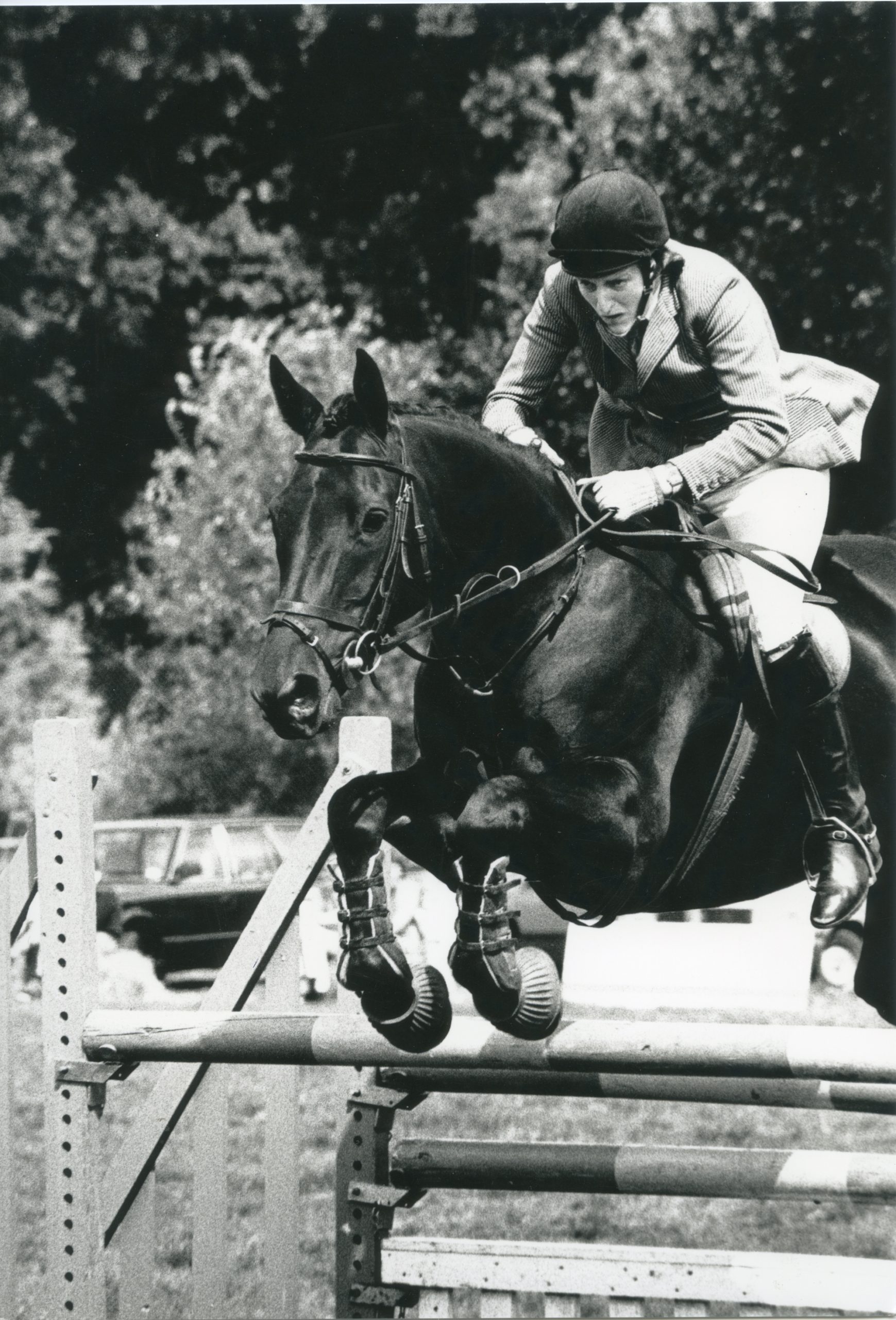 Ashwell Show | Events | Ashwell Museum