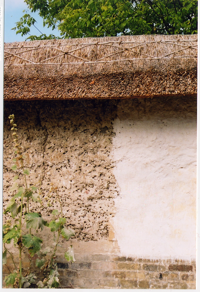 Thatched Cob Wall | House Histories | Ashwell Museum